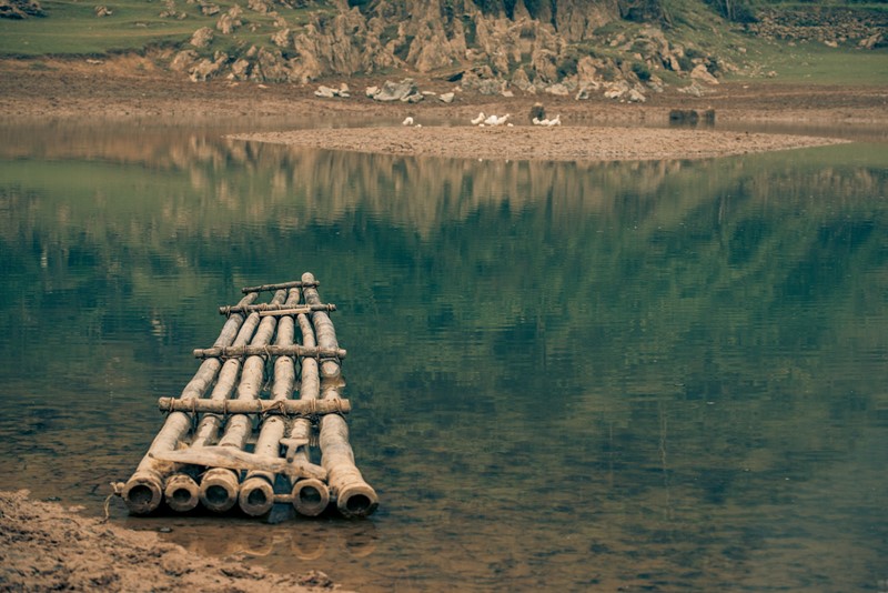 New Brooms | Wenn Townsend